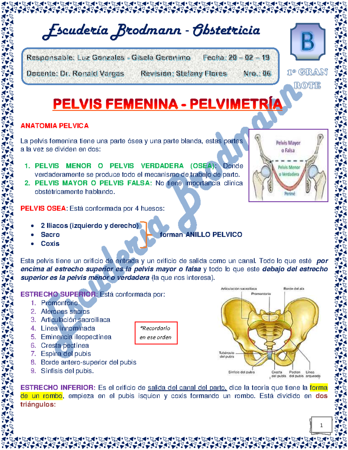 Anatomía y Pelvimetría de la Pelvis Femenina en Obstetricia 06-OBST ...