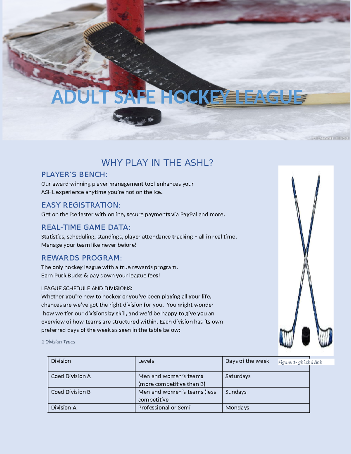 WHY PLAY IN THE ASHL? - Insights on Player Experience & Benefits - Studocu