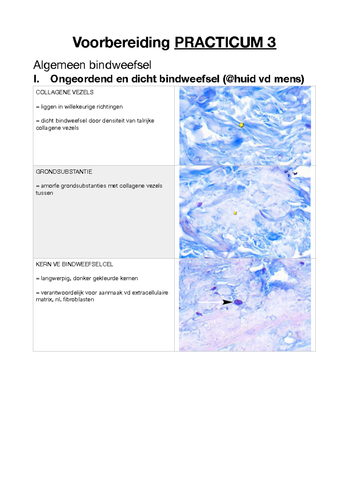 Voorbereiding Practicum 3 pdf - Voorbereiding PRACTICUM 3 Algemeen ...