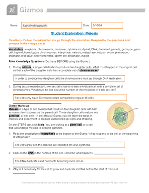 Gizmo Rainfall and bird beaks - 14405554 - Name: Layla Hollingsworth ...