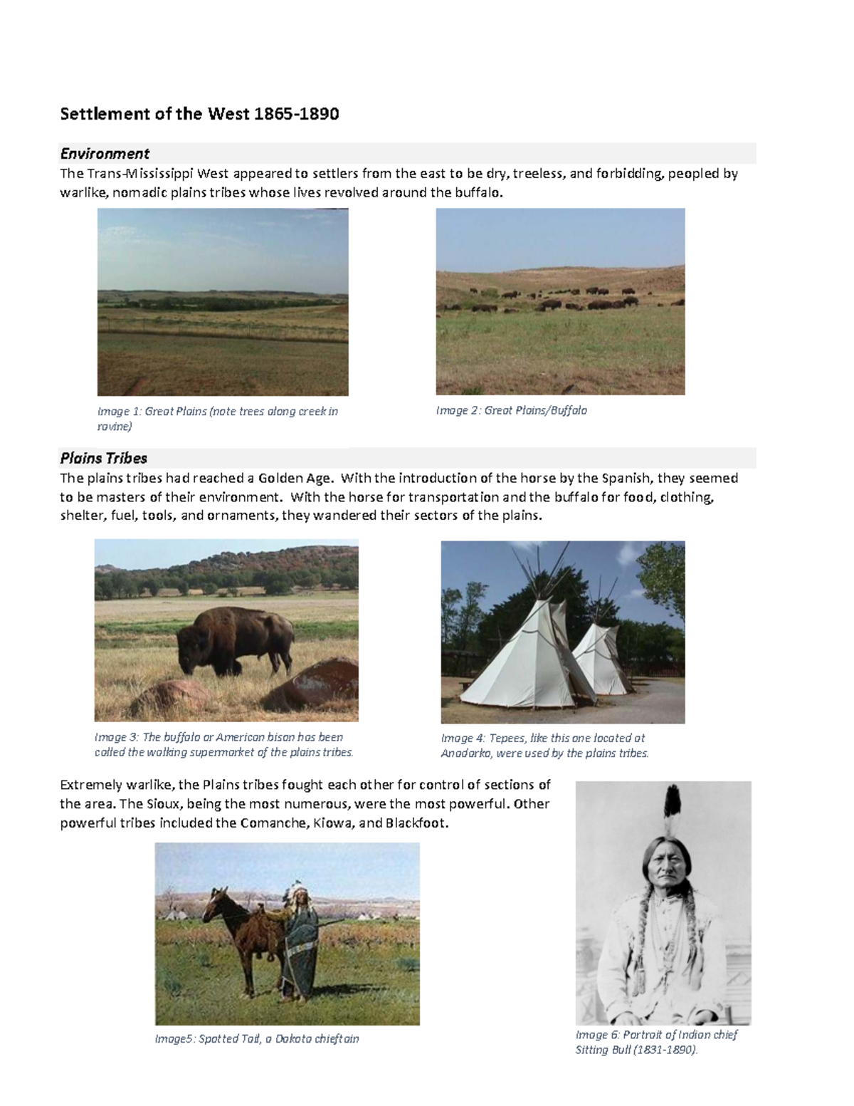 Settlement of the West: Miners, Cattlemen, and Farmers (1865-1890 ...