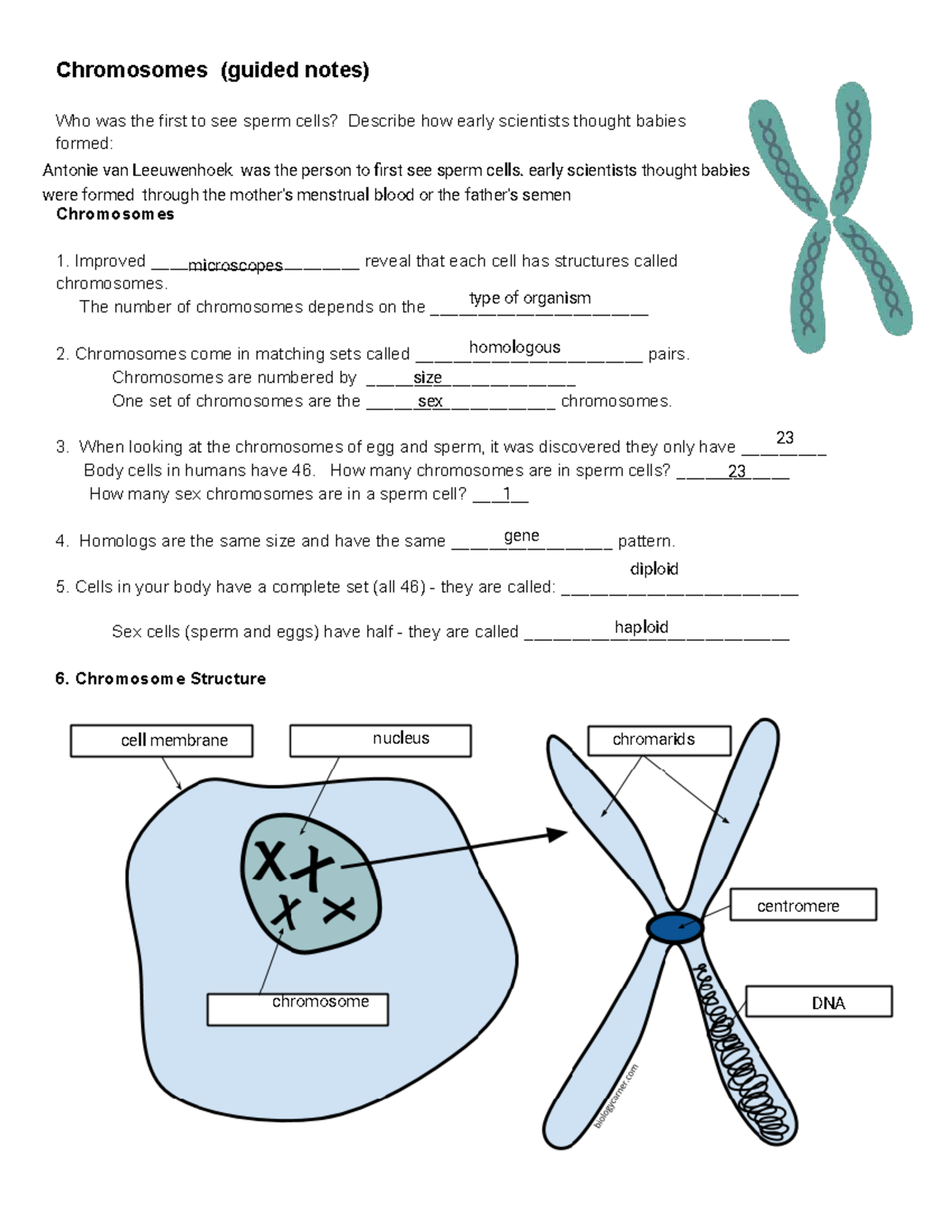 BRY' Nique Collins - 01 Chromosomes Guided Notes Overview - Studocu