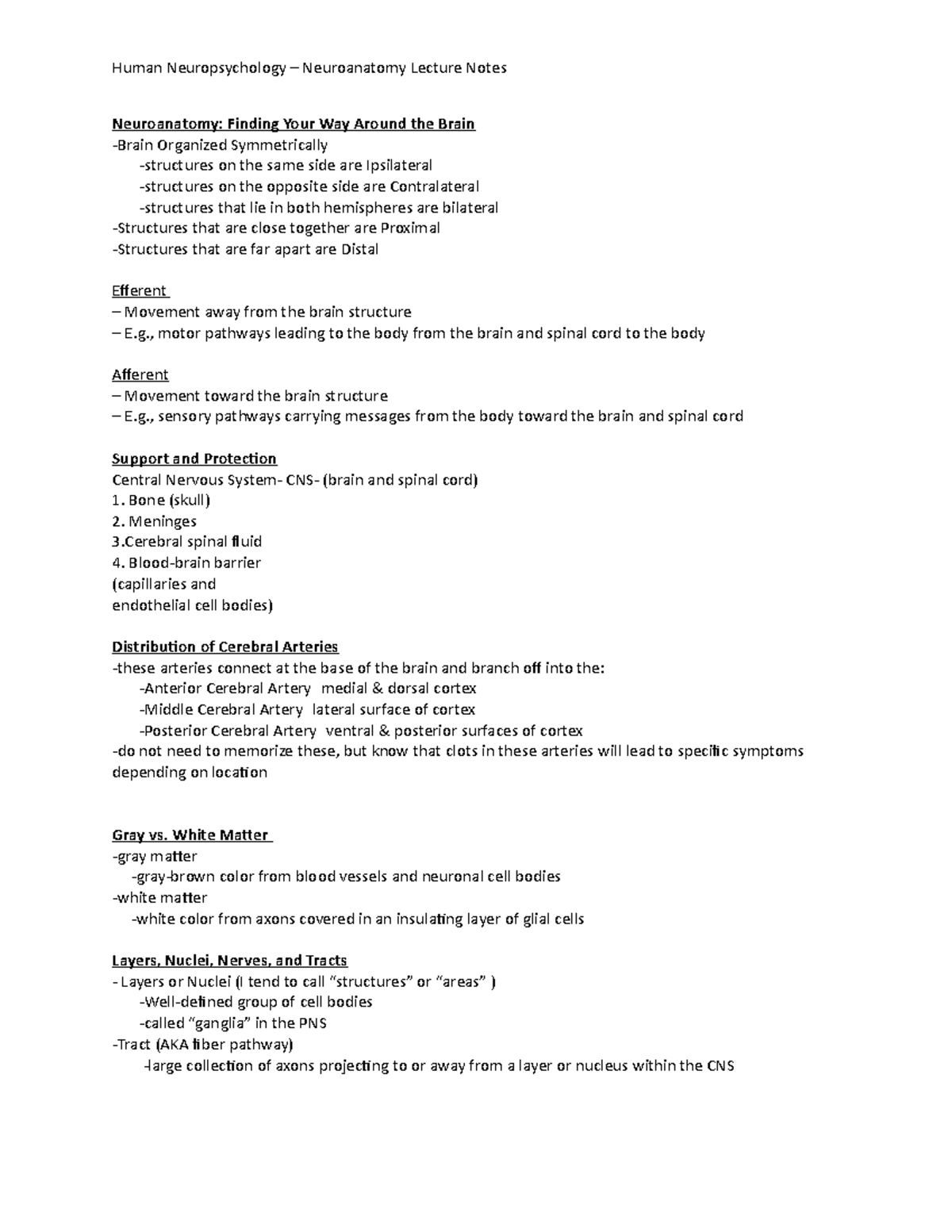 PSY 448 Lecture Notes Neuroanatomy 1 - Human Neuropsychology ...