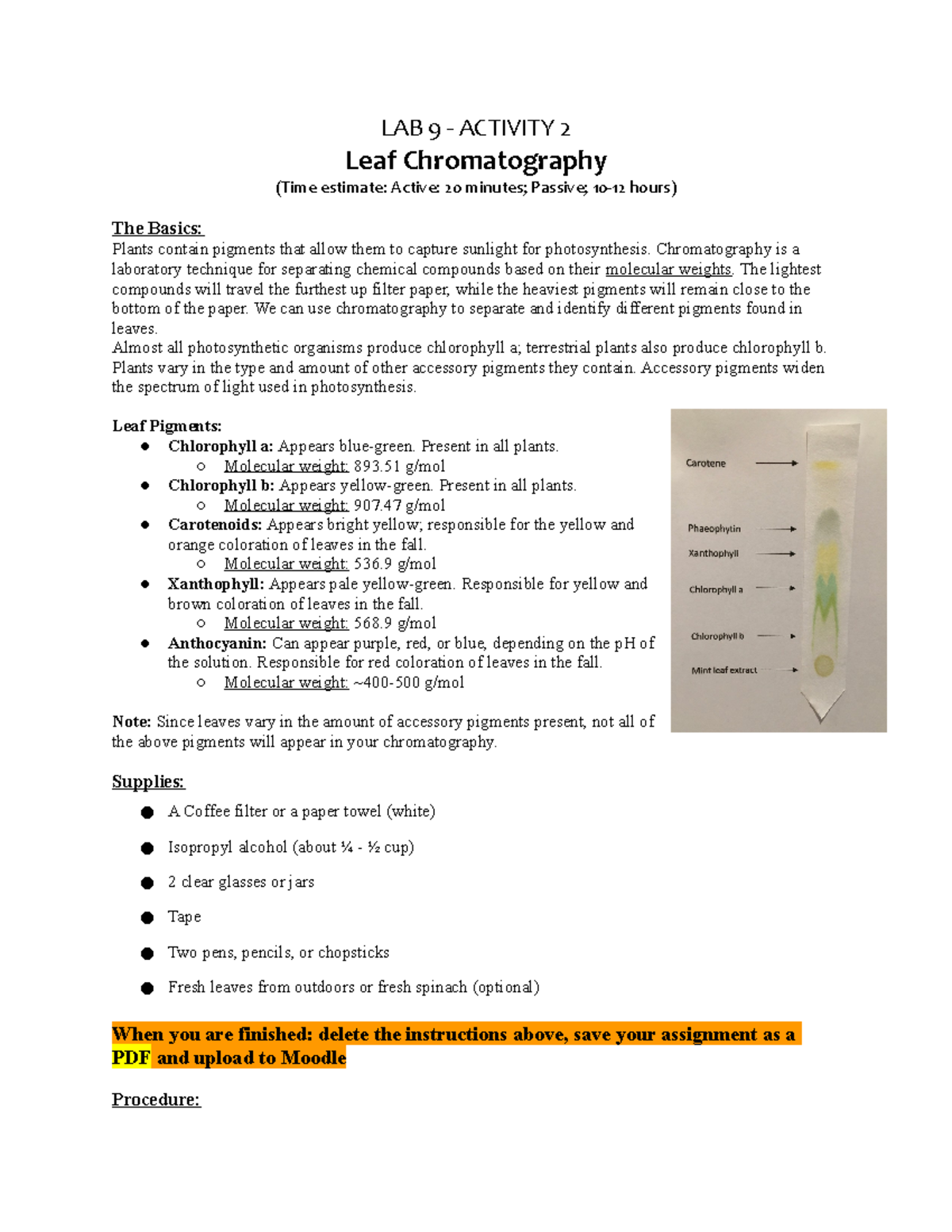 Lab 9 - Activity 2: Exploring Leaf Chromatography Techniques - Studocu
