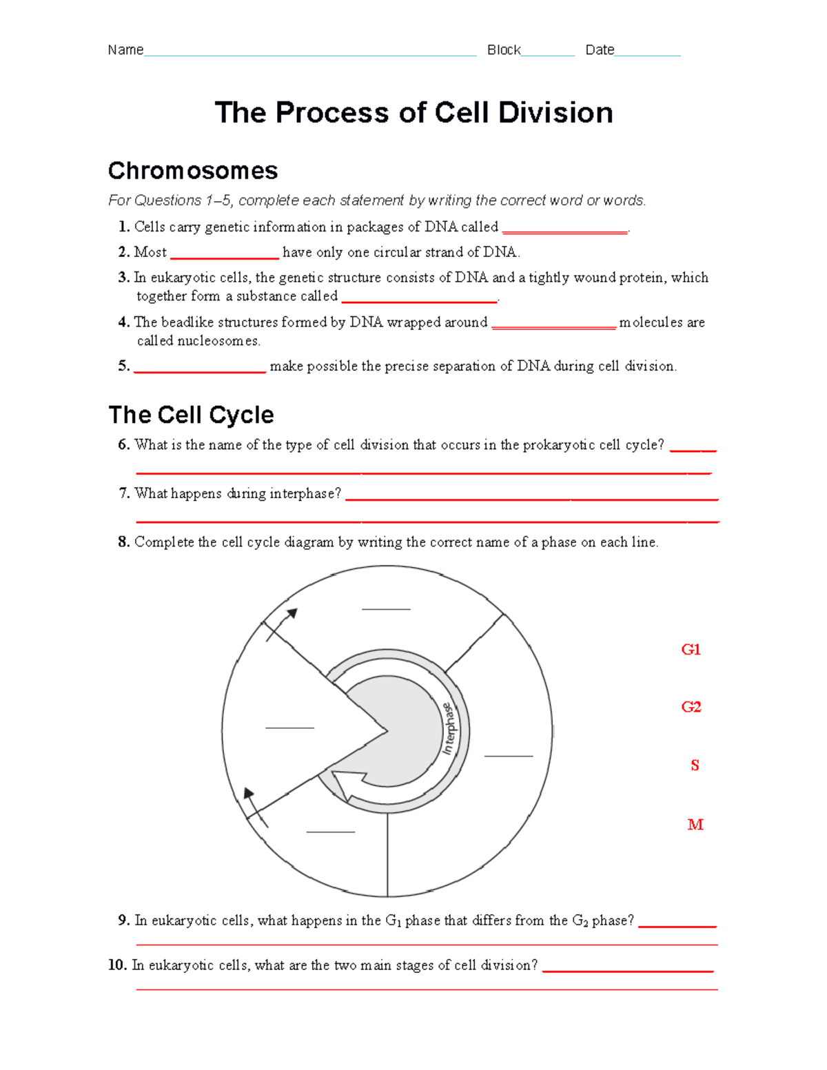 Cell Division Process: Understanding Chromosomes & Mitosis - Studocu