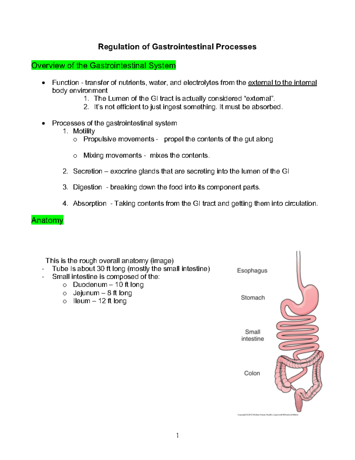 Regulation of Gastrointestinal Processes - BISC 7518 Lecture Notes ...
