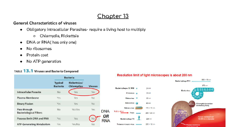 Microbio 13: General Characteristics and Morphology of Viruses - Studocu