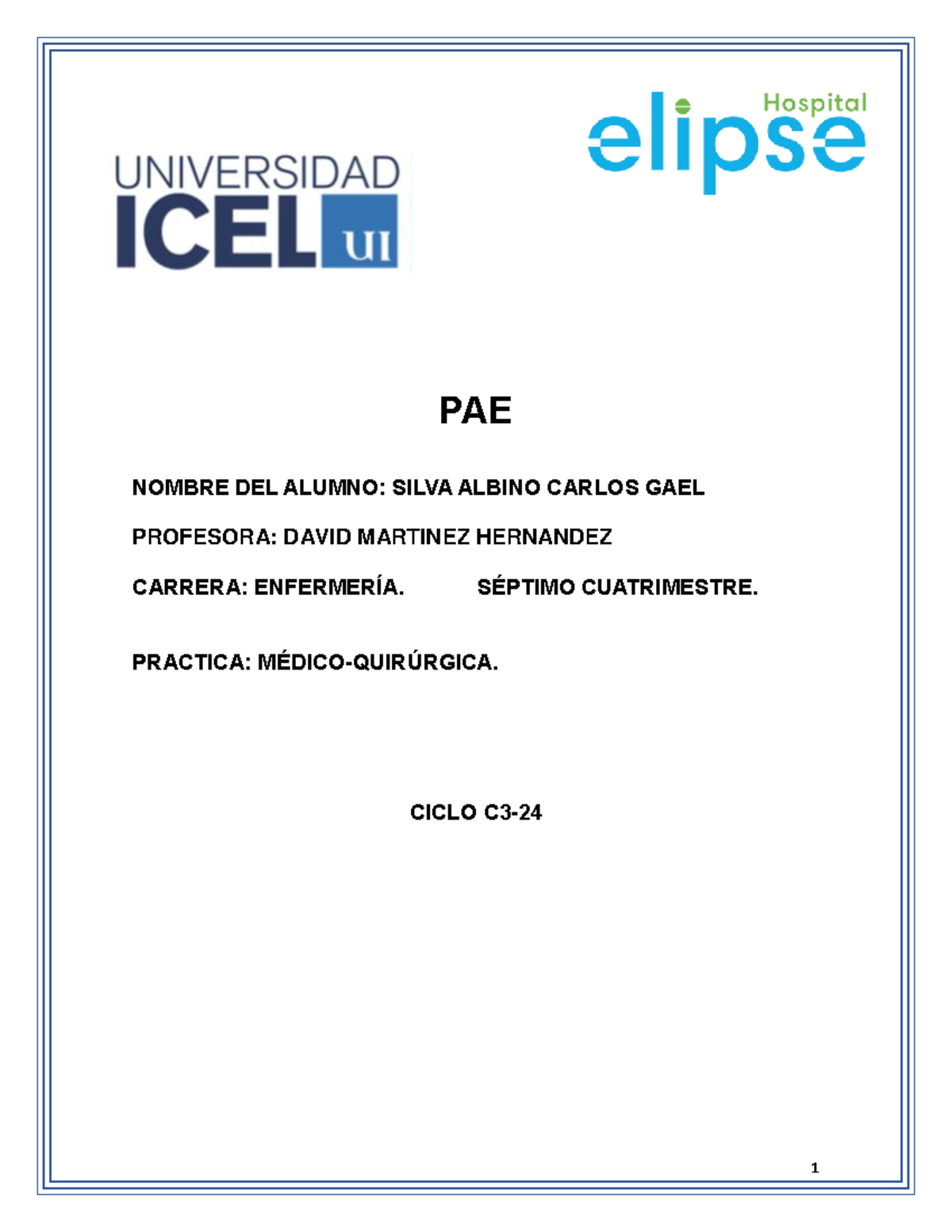 PAE Silva Albino Carlos GAEL - PAE NOMBRE DEL ALUMNO: SILVA ALBINO CARLOS GAEL PROFESORA: DAVID ...