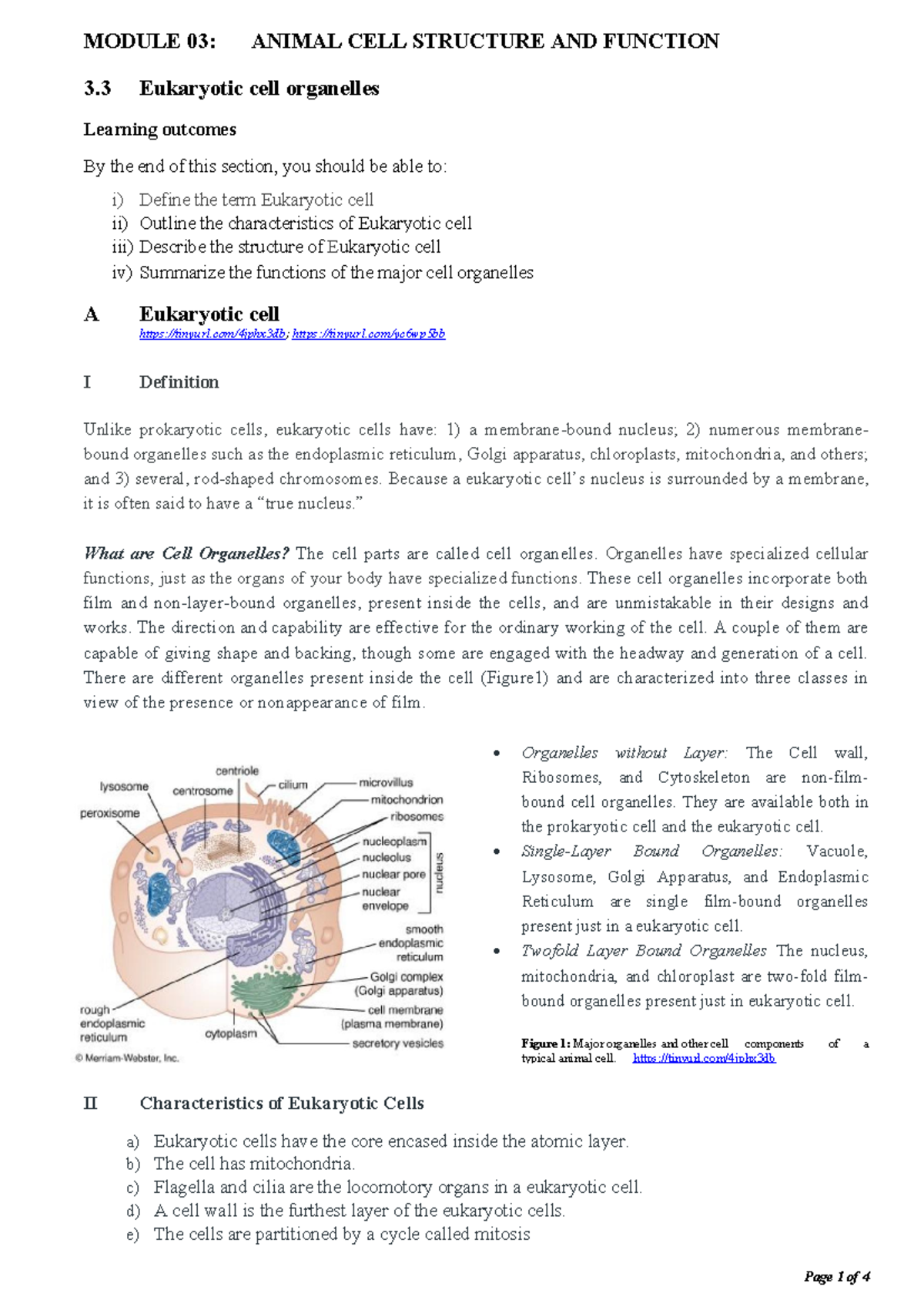 SZL 111 Module 03: Eukaryotic Cell Organelles Lecture Notes - Studocu