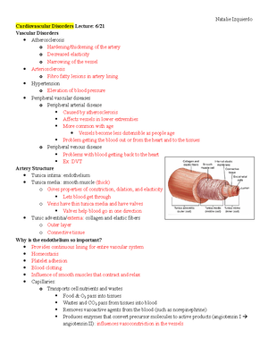 ATI Pharmocology Online Practice A & B CASE Study - PRACTICE A & B ...