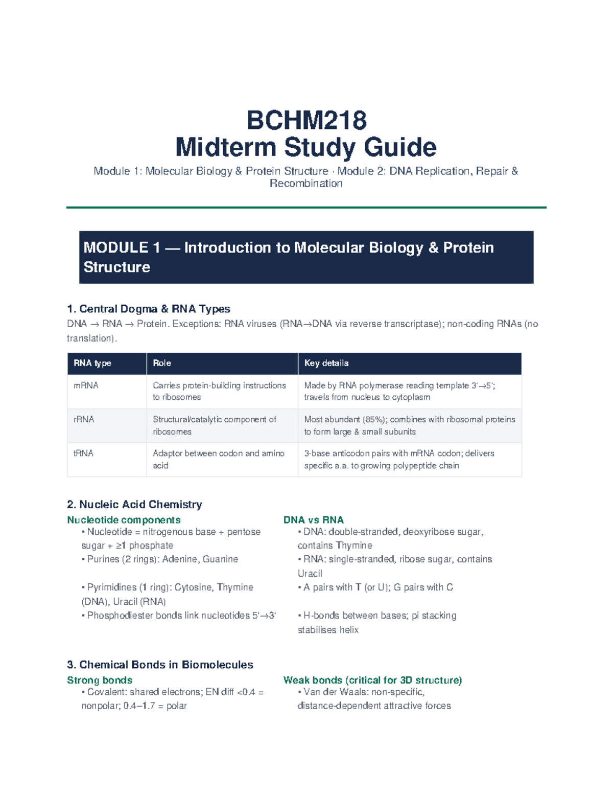BCHM218 Midterm Study Guide: Molecular Biology & DNA Replication - Studocu
