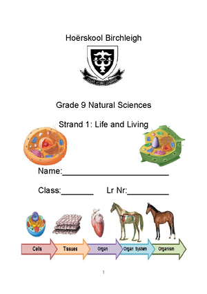 Grade 7 Natural Sciences & Tech Term 2 Practical Task Memo 2023 - Studocu