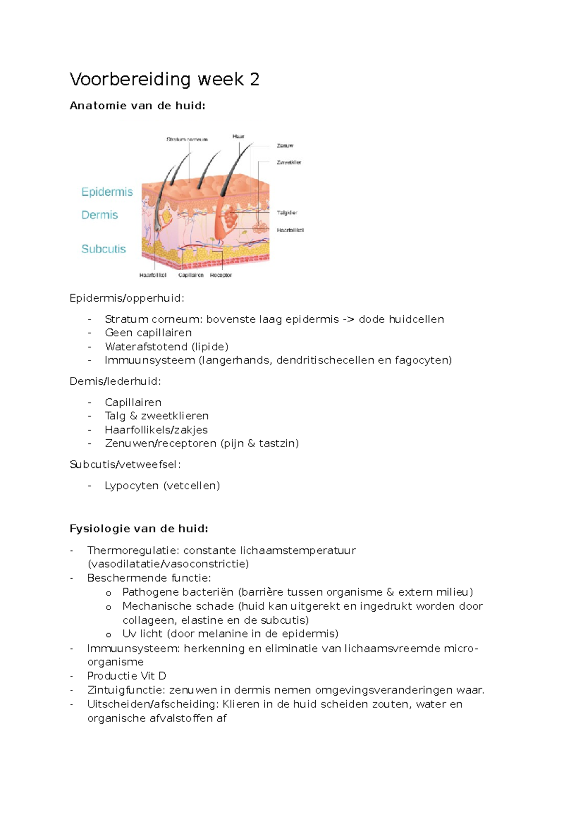 Voorbereiding week 2 huid - Voorbereiding week 2 Anatomie van de huid ...
