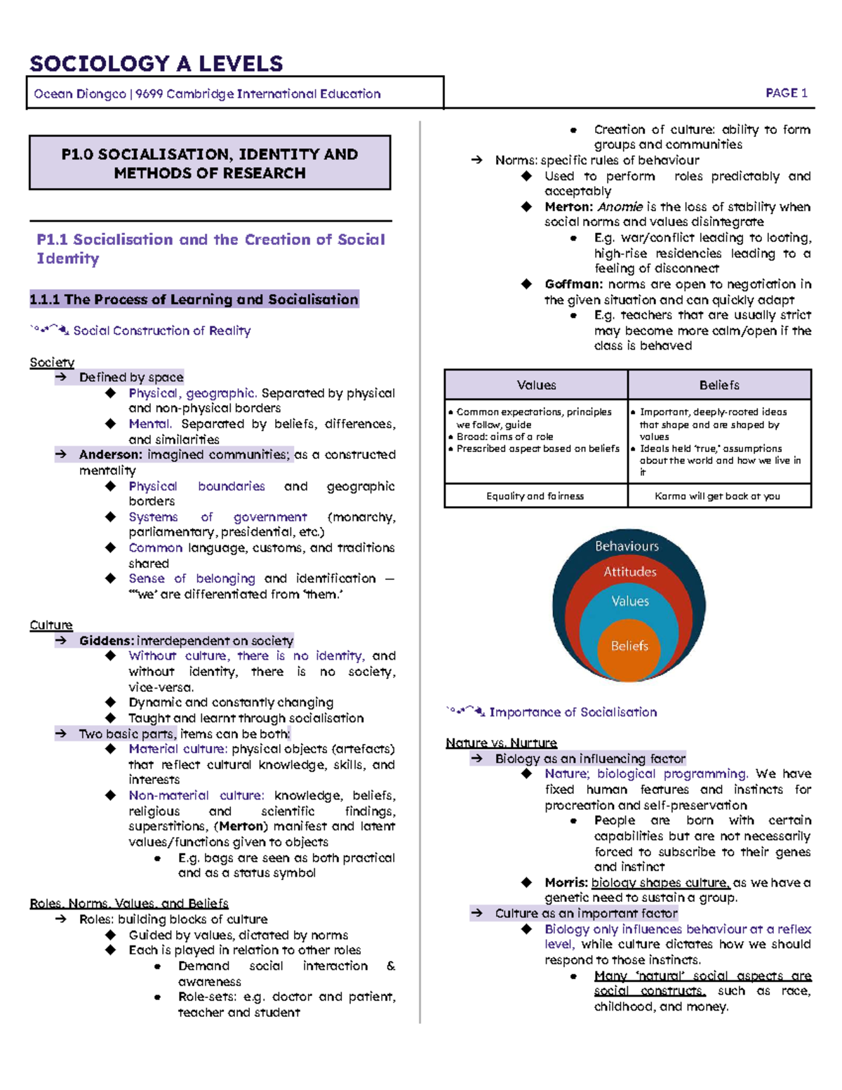 Sociology 9699 A Level Notes: Socialisation, Identity & Methodologies ...