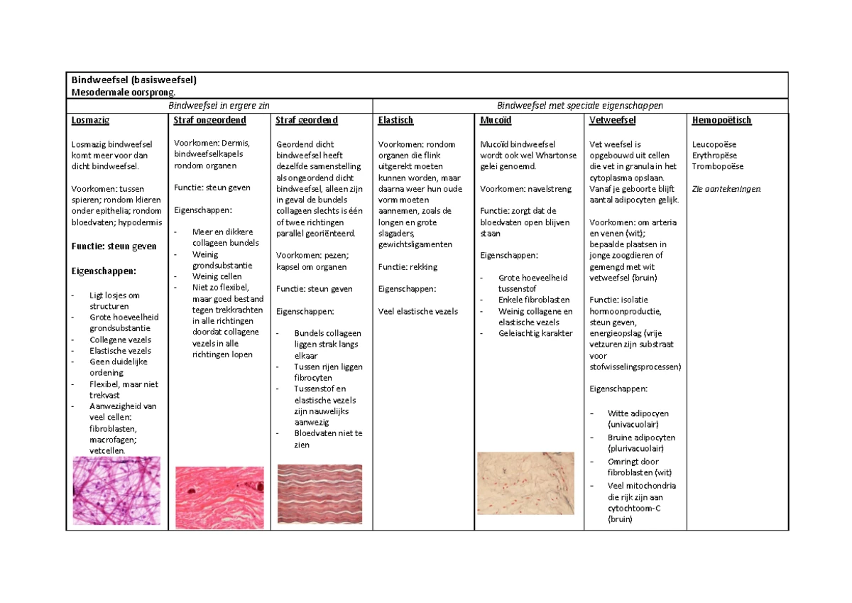 Werkcollege 3 - WC 3 - Werkcollege 1. Wat is de functie van de basale ...