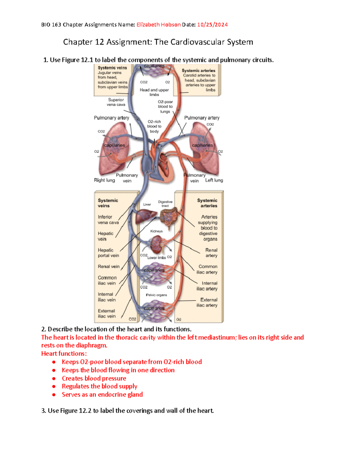 BIO 163 Chapter 12 Assignment: Comprehensive Overview of the ...