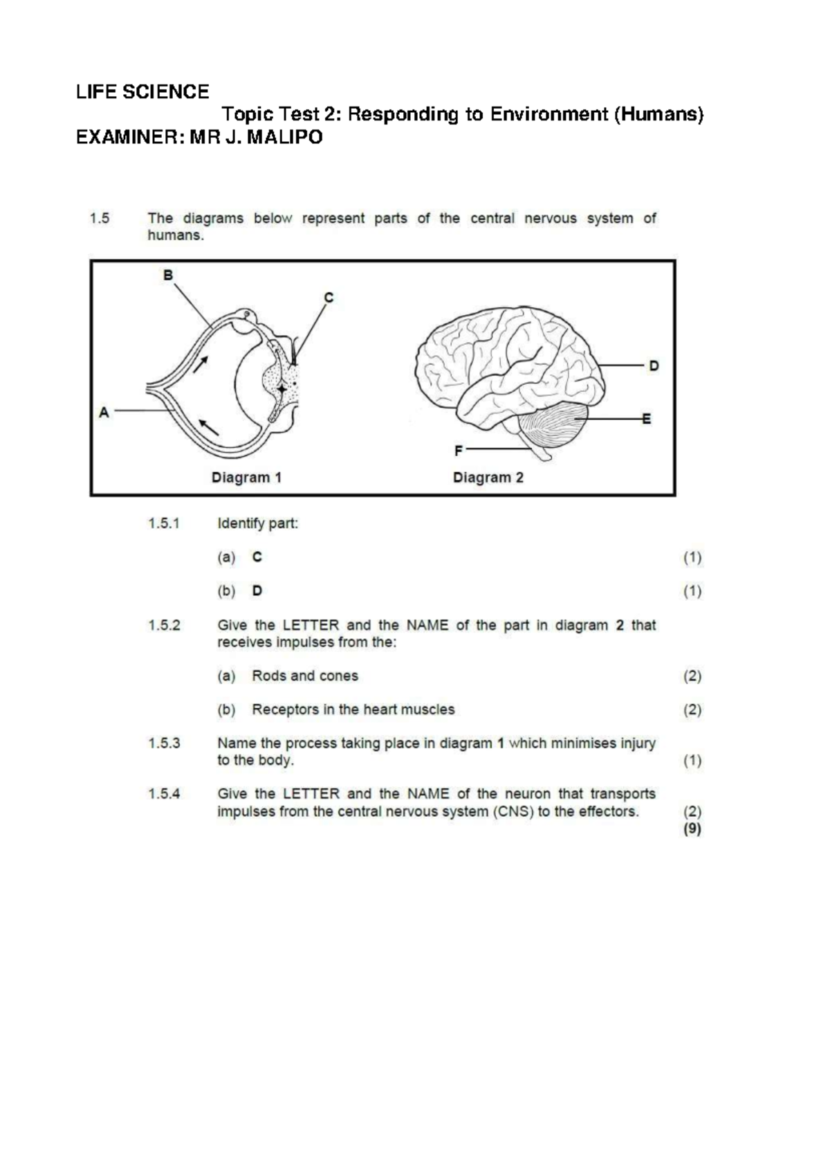 Responding to Environment humans test 2 2025 - LIFE SCIENCE Topic Test ...