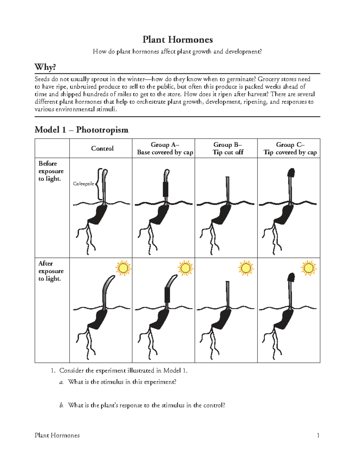 Plant Hormones in Ecology: POGIL for Biology (31 Plant Hormones-S ...