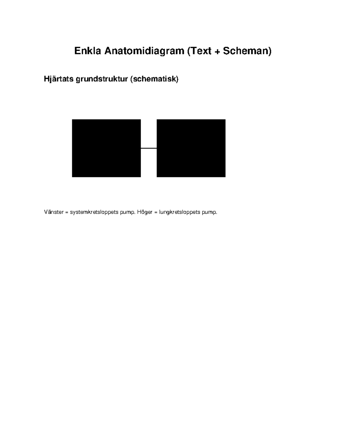 Anatomi diagram - 1SJ019 - Enkla Anatomidiagram (Text + Scheman ...