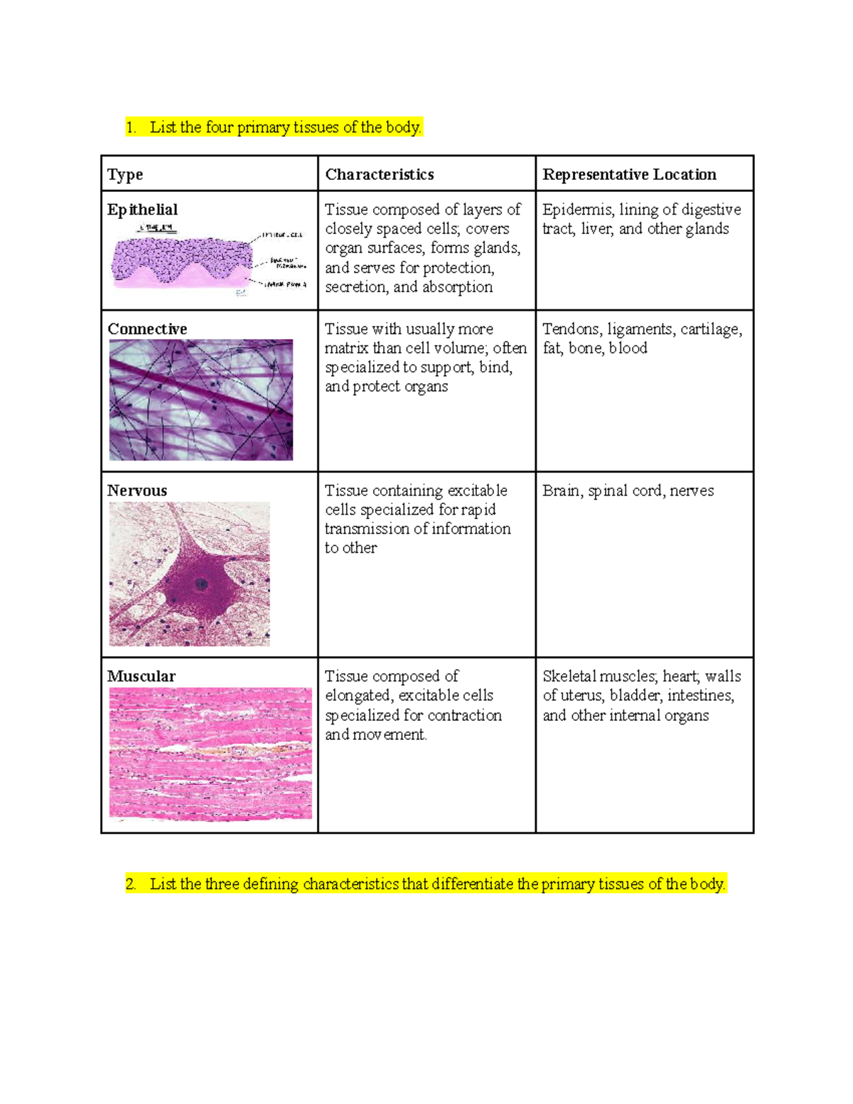Anatomy and Physiology Unit 2: Overview of Body Tissues - Studocu