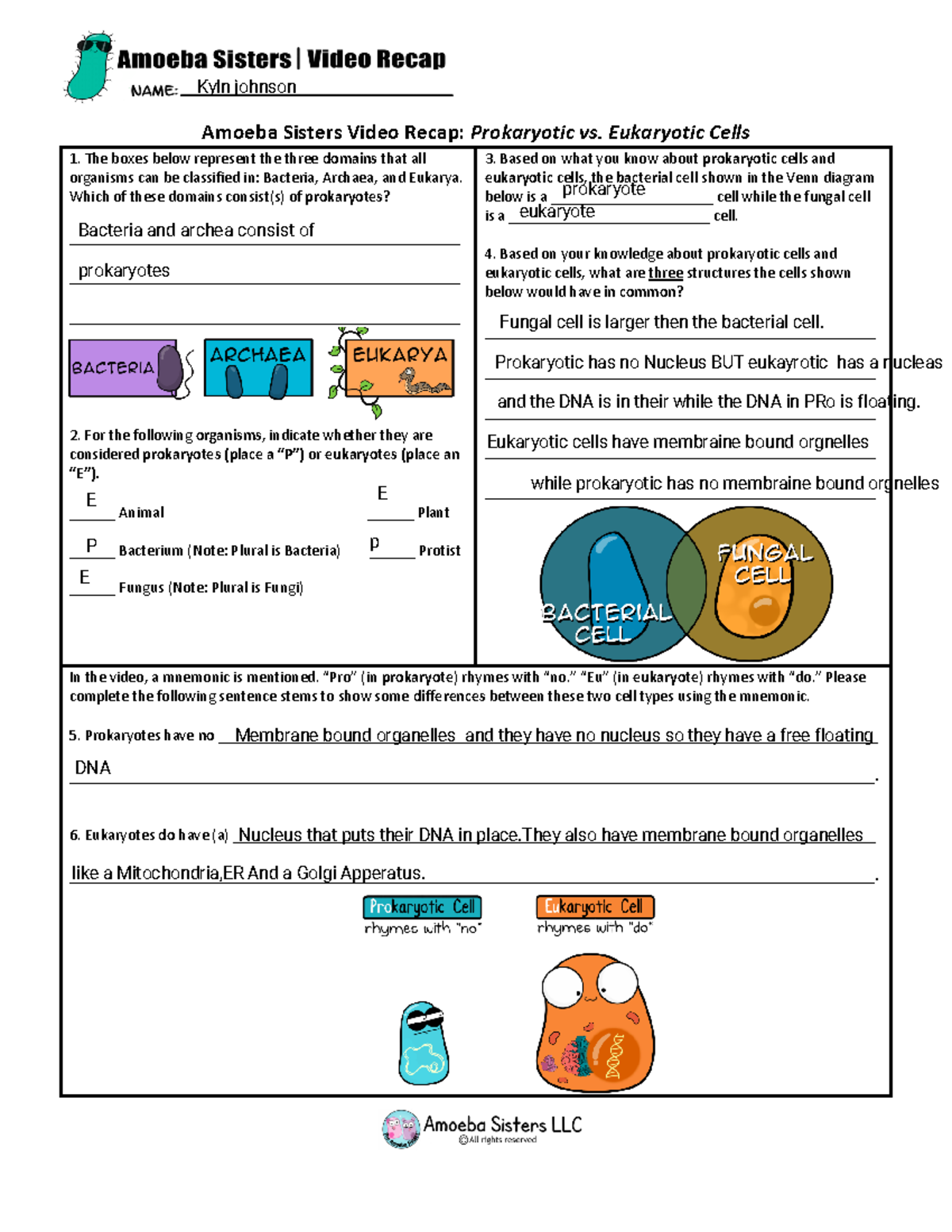 Amoeba Sisters Recap: Prokaryotic vs Eukaryotic Cells Guide - Studocu