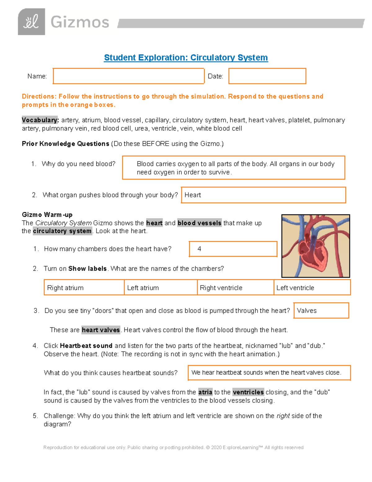 Gizmo - Circulatory System - Student Exploration: Circulatory System ...