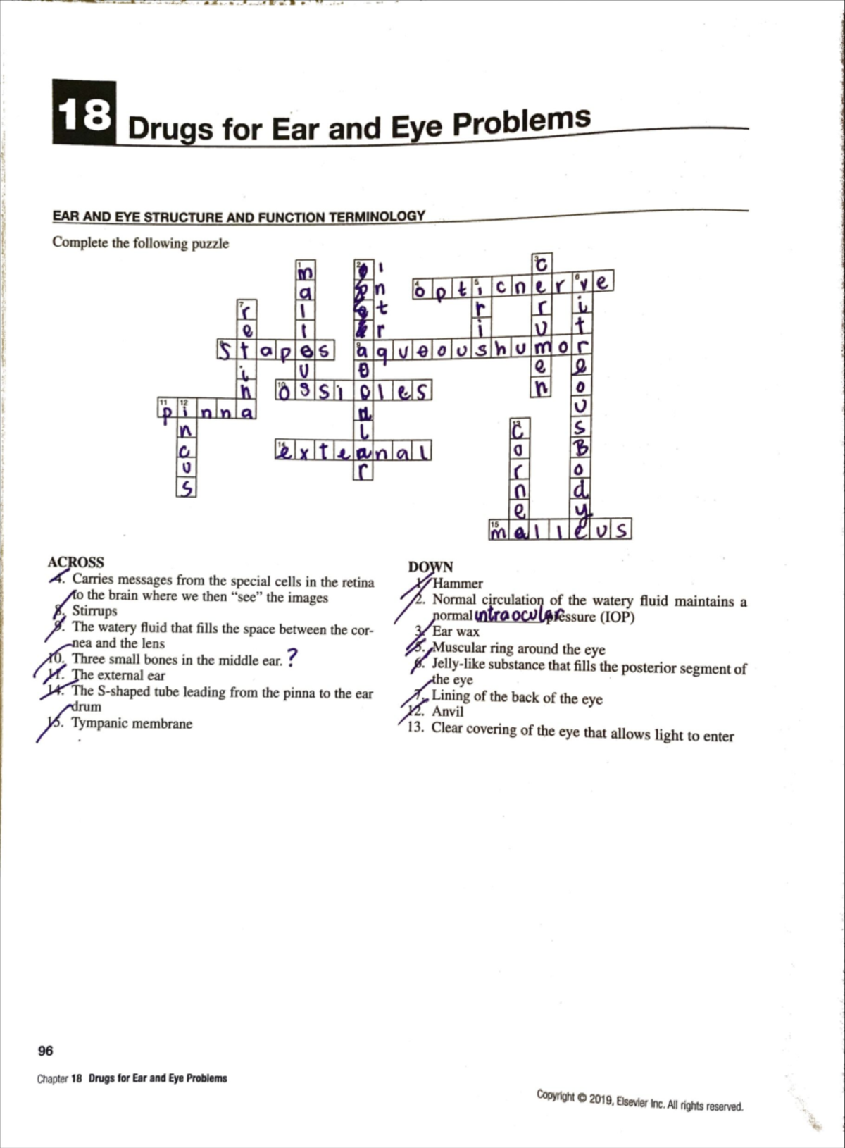 Chapter 18 study guide pharm - 18 Drugs for Ear and Eye Problems EAR ...