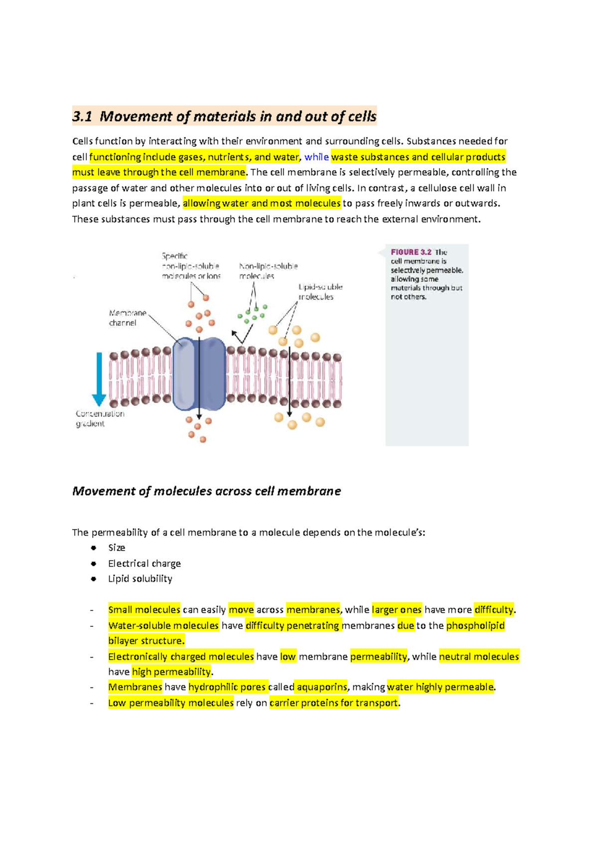 3.1 Movement of Materials: Cell Transport Mechanisms Explained - Studocu