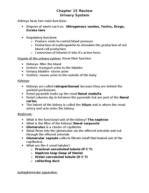 Chapter 14 Review: Digestive System Vocabulary and Key Concepts - Studocu