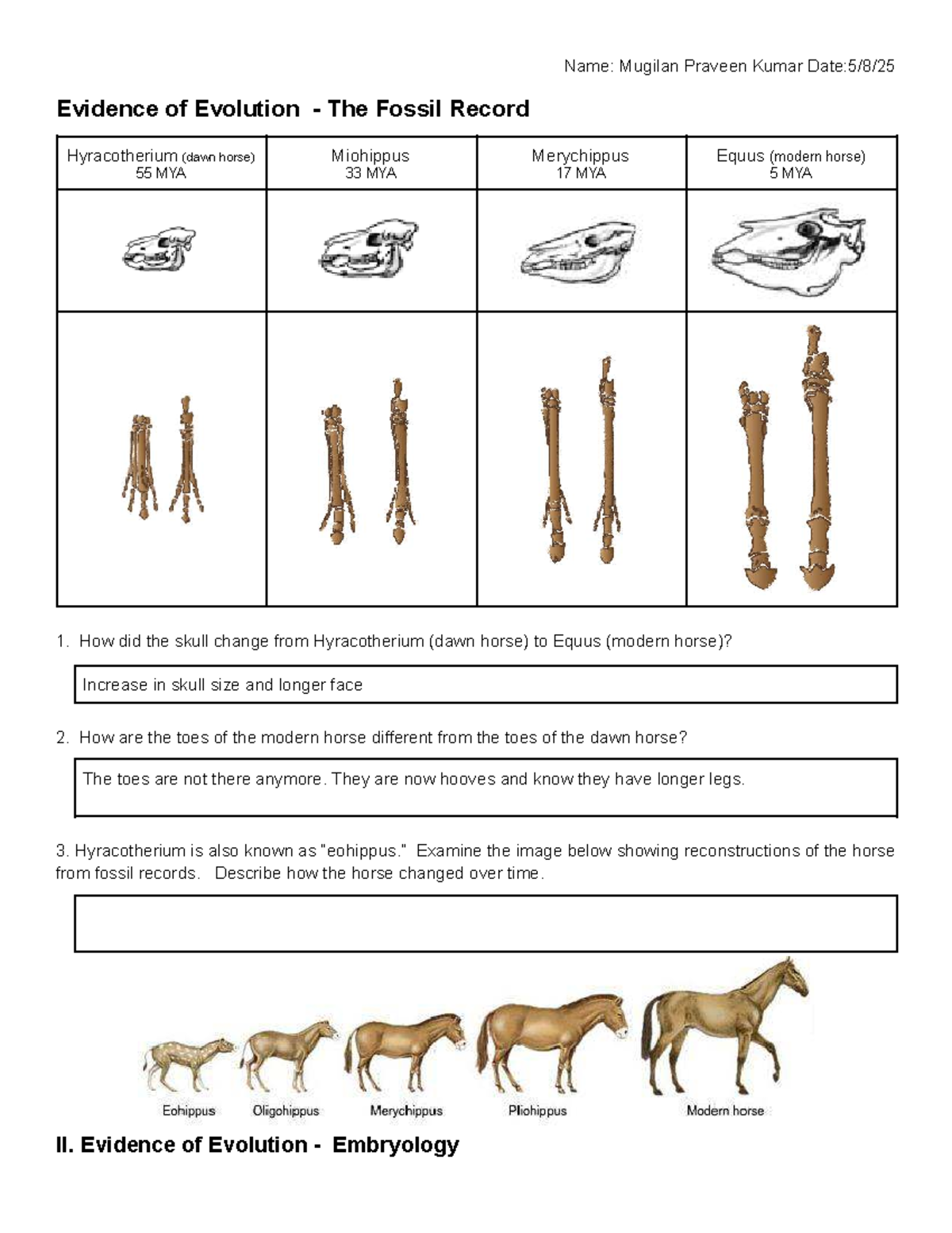 Evidence of Evolution: Fossil Record & Comparative Anatomy (BIO 101 ...