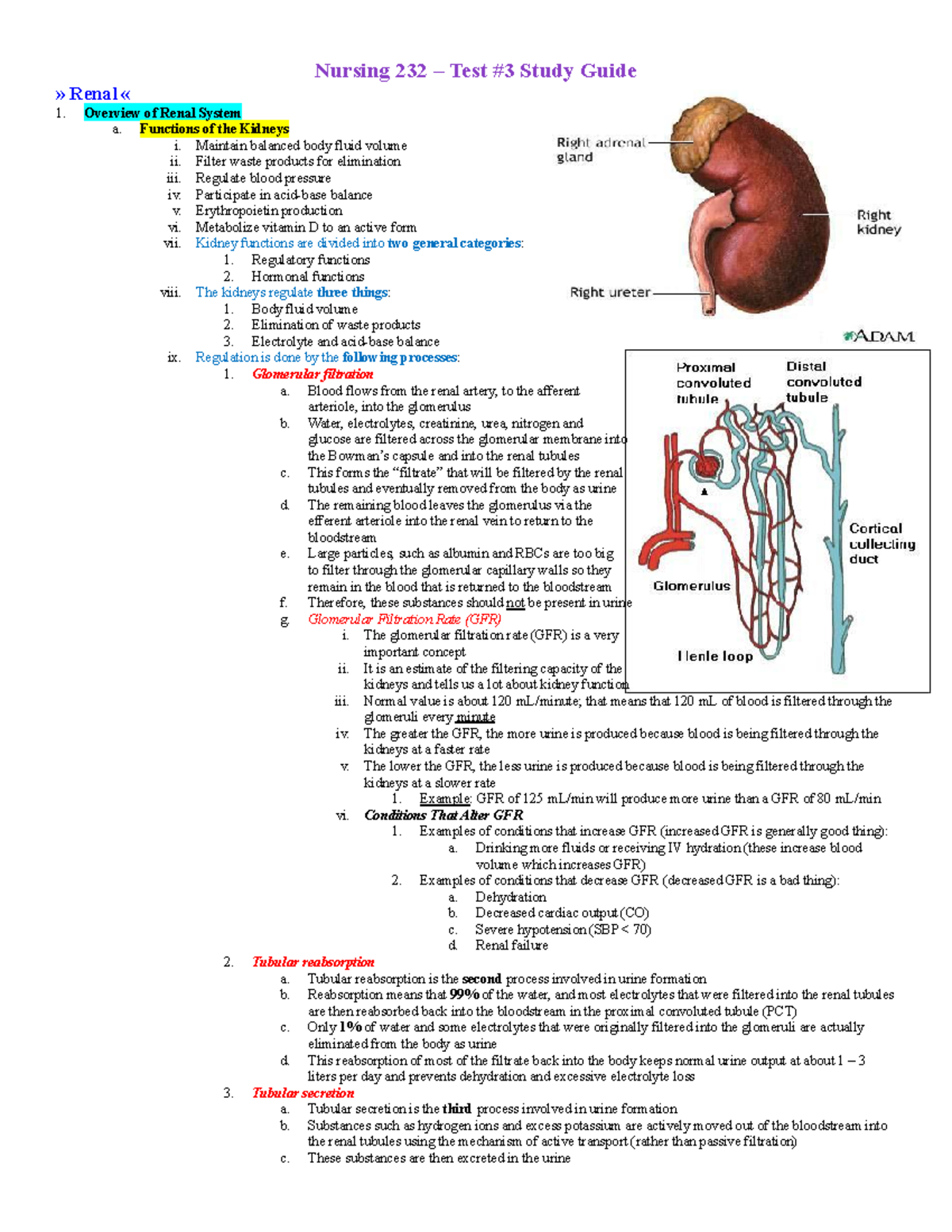 Nursing 232 - Test #3 lecture study - Nursing 232 – Test #3 Study Guide ...