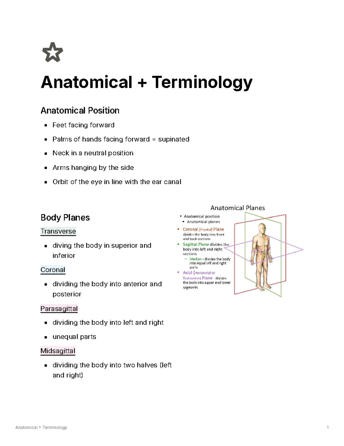 Anatomical Terminology: Key Concepts and Definitions - Studocu