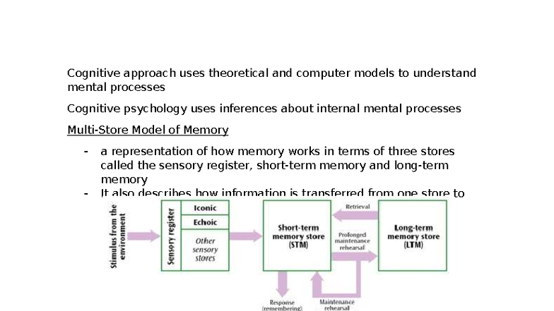 Cognitive Psychology: Multi-Store Model of Memory (PSY 101) - Studocu