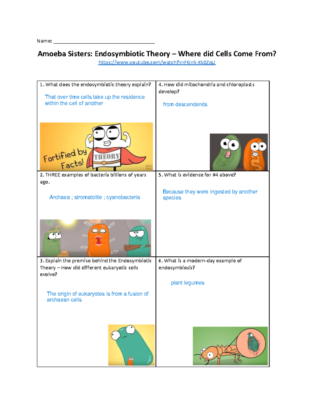 Amoeba Sisters Endosymbiotic Theory (1) finished - Name