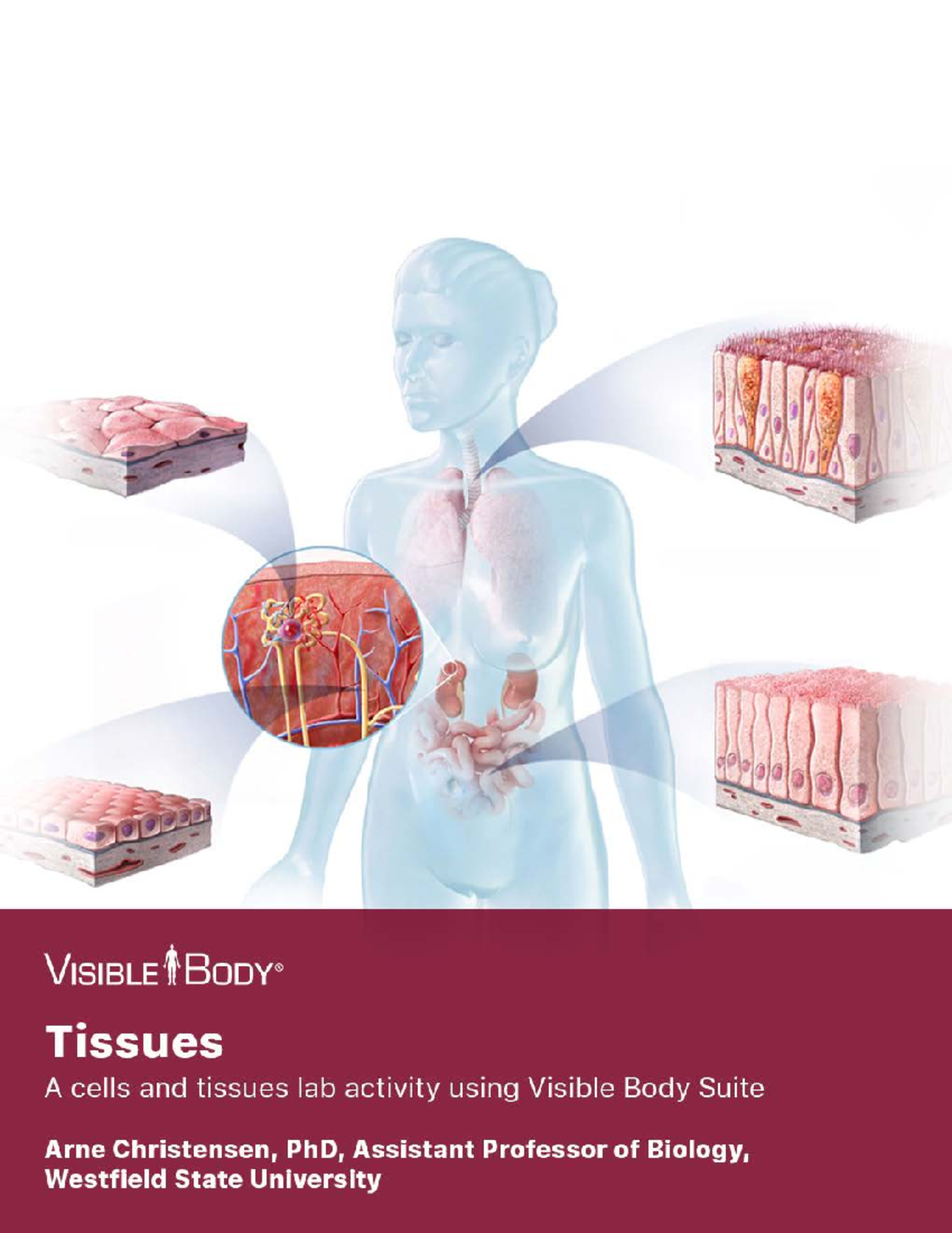 Lab Manual: Tissues A&P - Complete Assignment for Unit 1 - Studocu