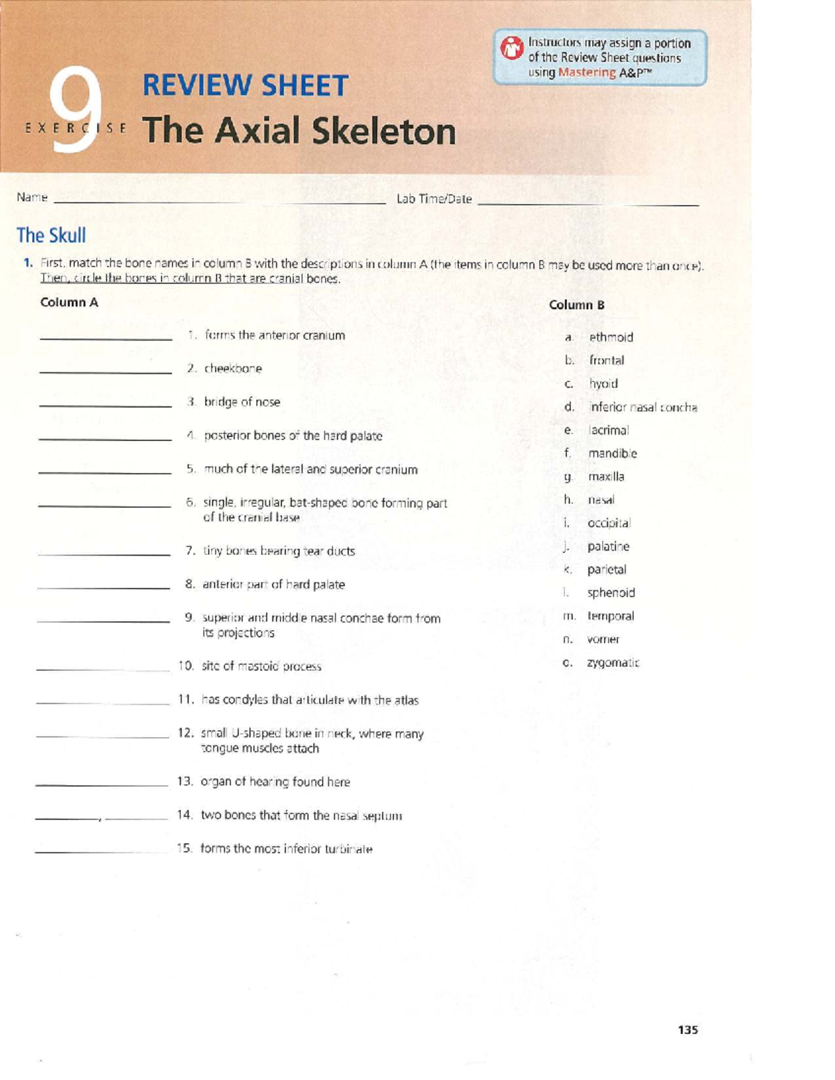 BI209L-EX.9 Review Sheet: The Axial Skeleton Overview - Studocu