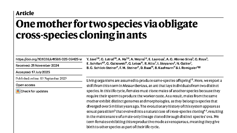 One Mother for Two Species: Obligate Cloning in Messor ibericus Ants ...