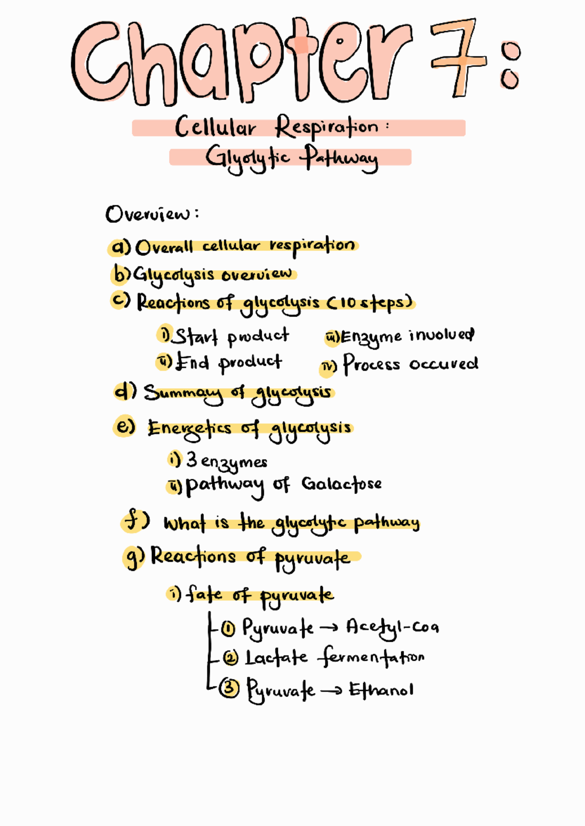 Glycolysis Overview: Cellular Respiration and Pathways (BIO 32047 ...