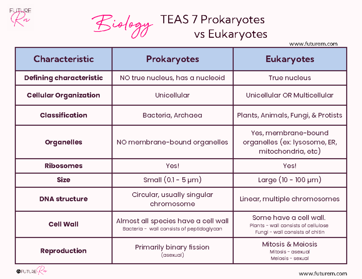 Biology TEAS 7: Prokaryotes vs Eukaryotes Comparison Guide - Studocu