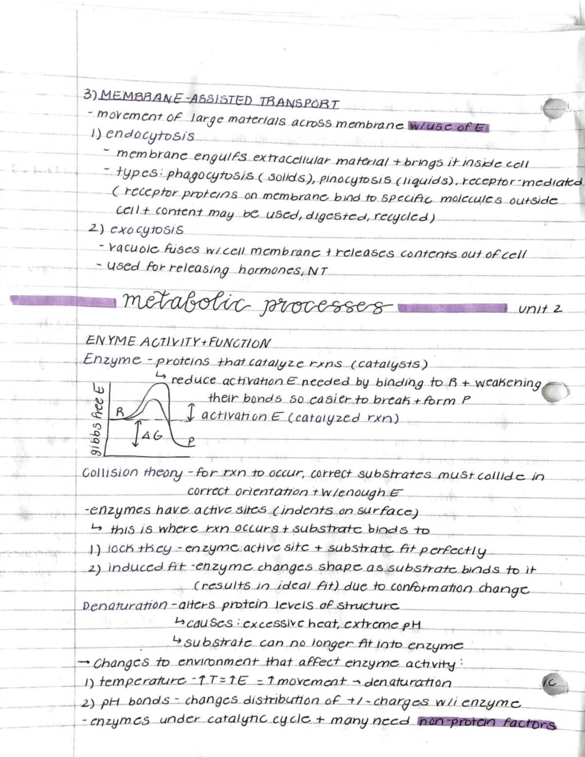 Grade 12 Biology Unit 2: Notes on Metabolic Reactions and Pathways ...