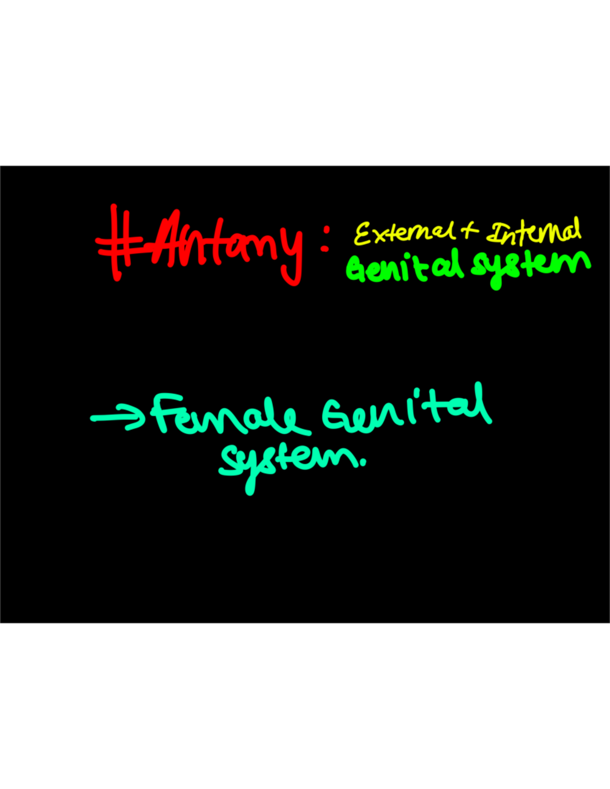 Female genital system part 1 - 12558 - Studocu