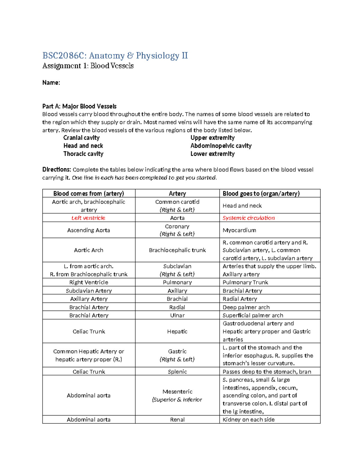 BSC2086C: Assignment 1 Overview of Major Blood Vessels - Studocu