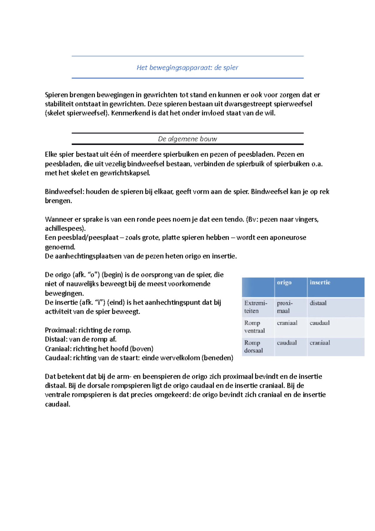 Titel: Anatomie van de Spier: Functie en Indeling van Skeletspieren ...