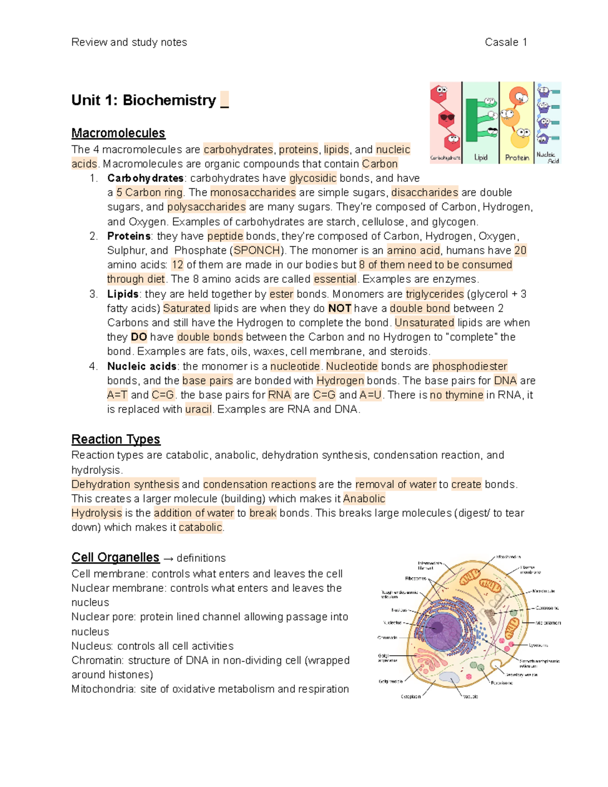 Grade 12 bio - Summary Introduction to Organismal Biology - Unit 1 ...
