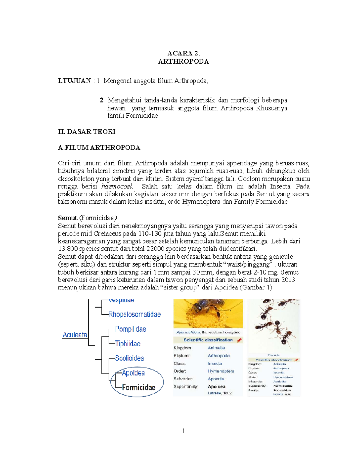 ACARA 2: ARTHROPODA - STUDY ON FORMICIDAE MORPHOLOGY & TAXONOMY - Studocu
