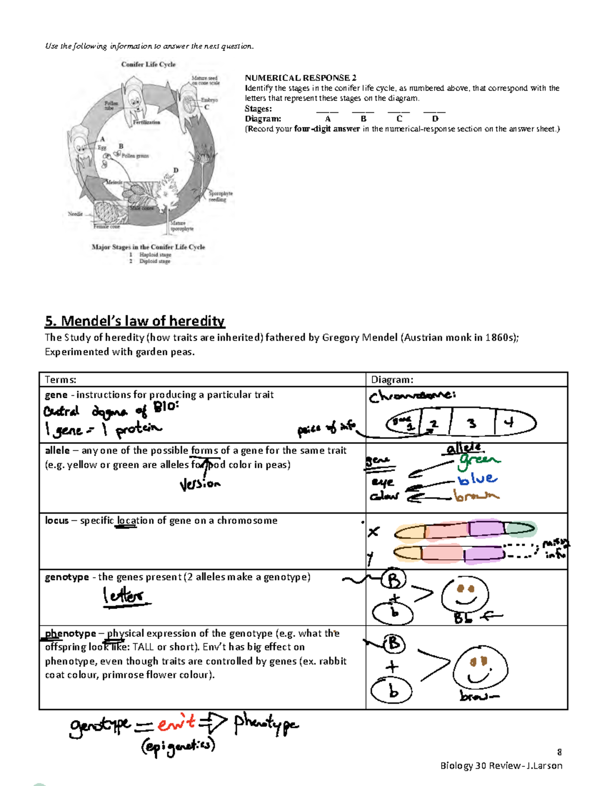 Bio30 Genetic Inheritance - Key Concepts and Mendelian Principles - Studocu