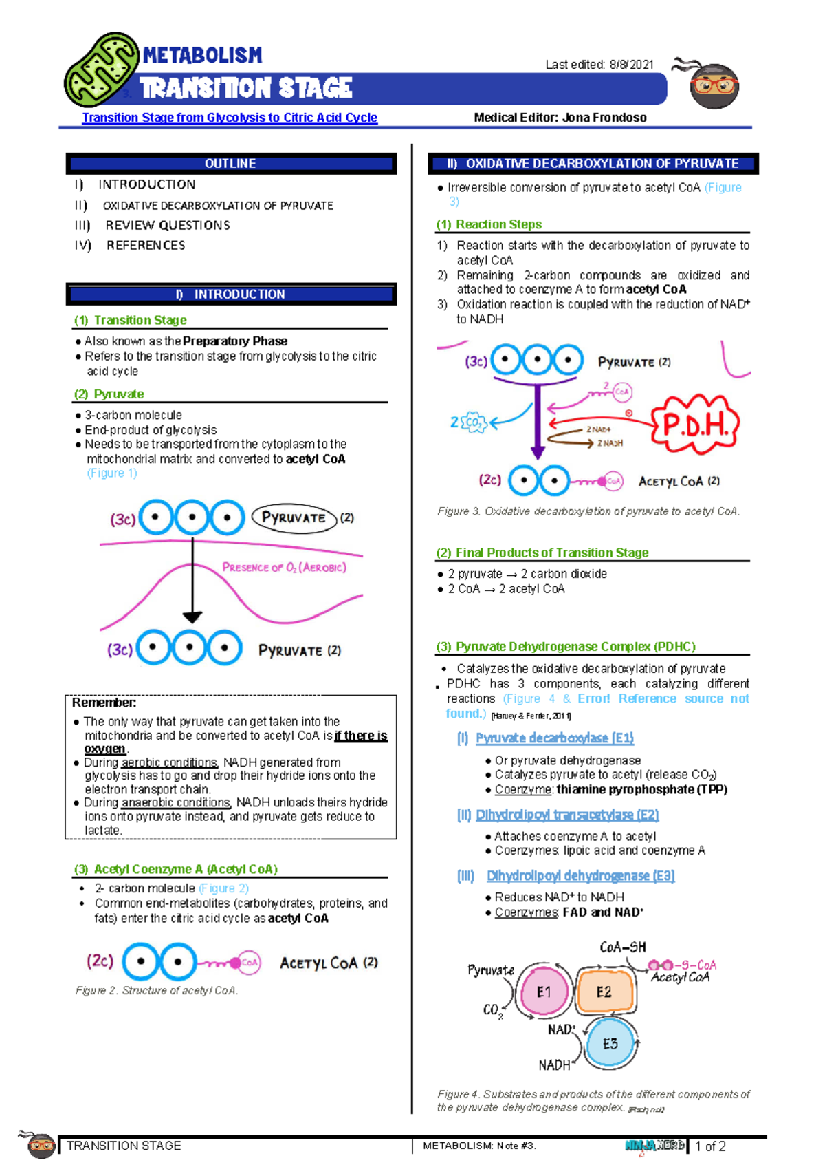 Transition-Stage-Preparatory-Phase-atf - TRANSITION STAGE METABOLISM ...