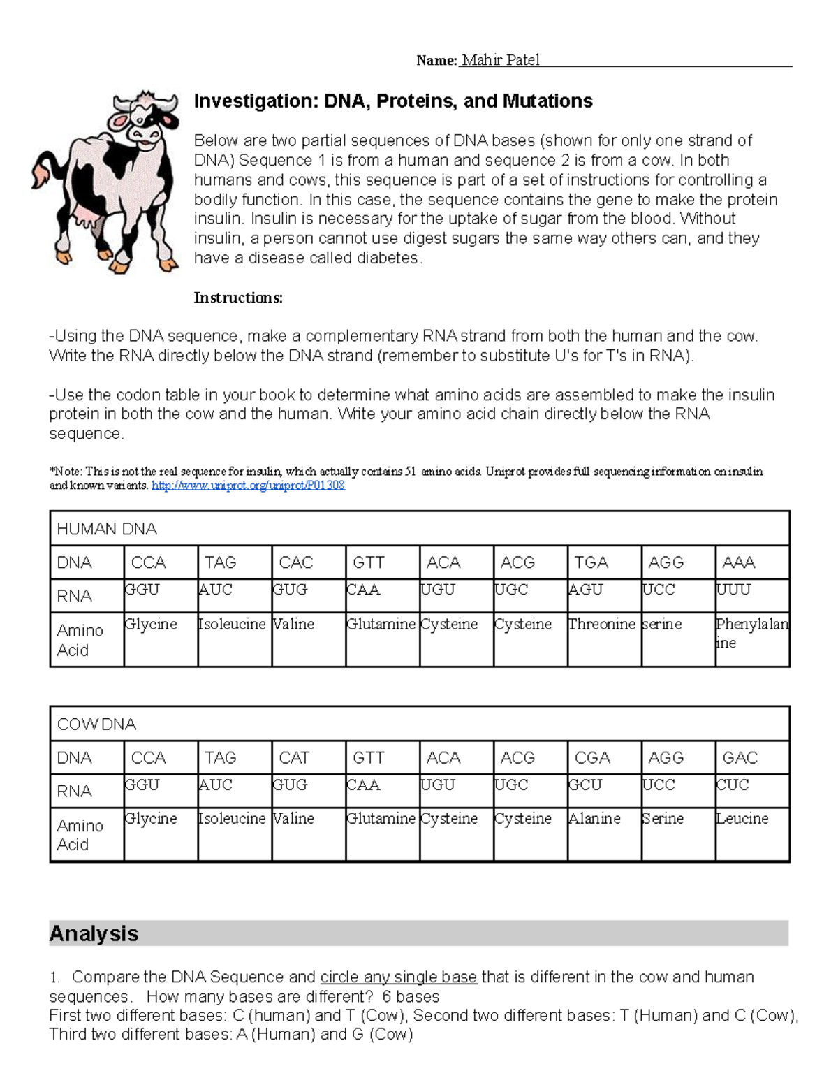 Investigation of DNA, Proteins, and Mutations: Analysis & Findings ...