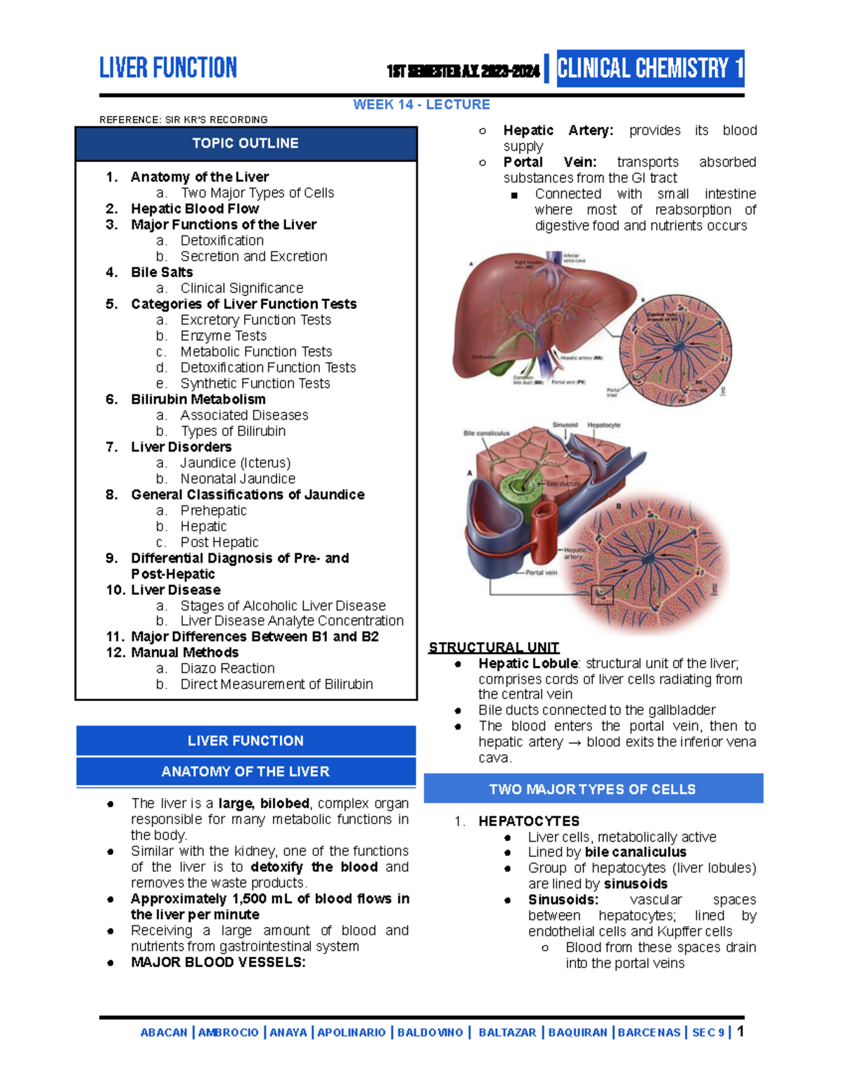 LIVER FUNCTION IN CLINICAL CHEMISTRY 1: WEEK 14 LECTURE NOTES - Studocu