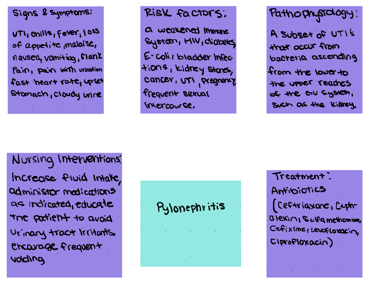 Week 15 concept map - Pylonephritis - Signs symptoms Risk factors ...